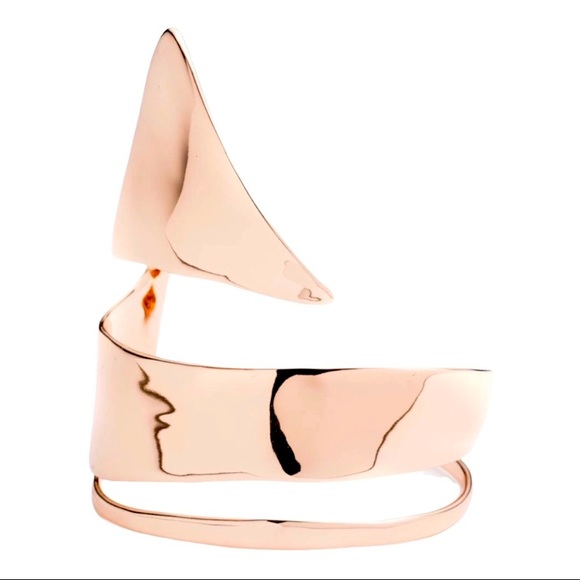 Alexis Bittar | Jewelry | Alexis Bittar Rose Gold Polished Liquid Metal ...